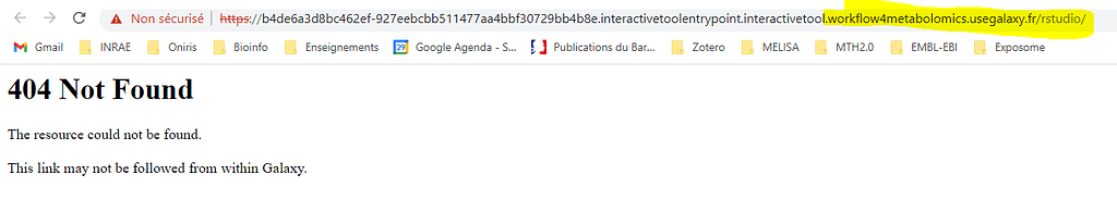 InteractiveTools Rstudio problème de sousdomaine - Workflow4Metabolomics - IFB Community Support