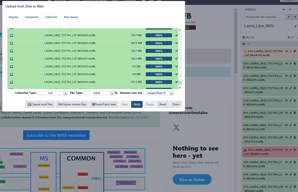 Error with the upload of data at the create collection step - Workflow4Metabolomics - IFB ...